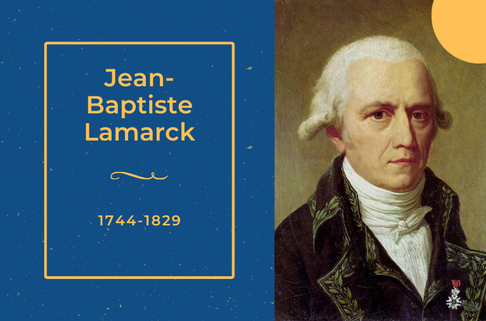 Las diferentes teorías de la evolución. ¿Explican los cambios de los ...