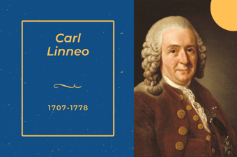 Las diferentes teorías de la evolución. ¿Explican los cambios de los ...